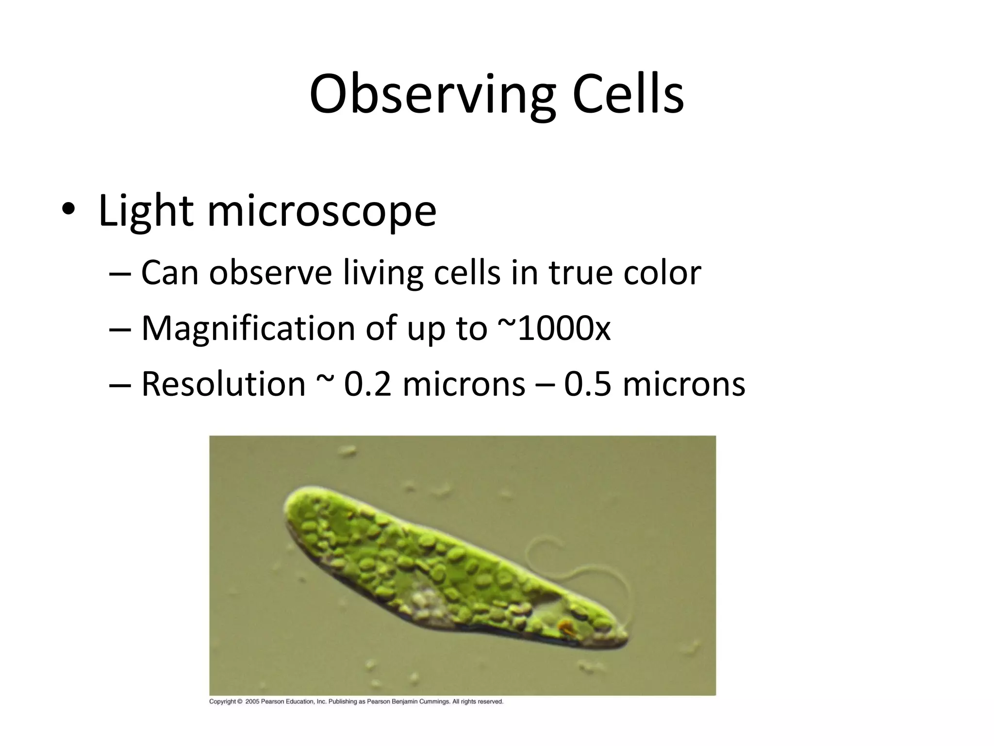 Lesson 1 introduction to human anat and cell structure | PDF