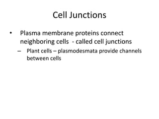 Lesson 1 introduction to human anat and cell structure | PDF