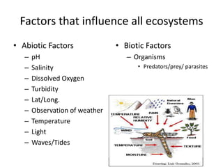 Lesson 1 marine ecosystems | PPT