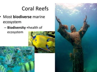 Lesson 1 marine ecosystems | PPTX
