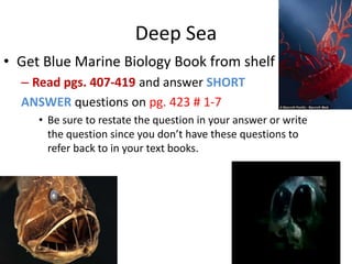 Lesson 1 marine ecosystems | PPT