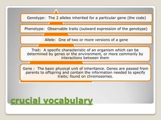 Lesson 1 mendelian genetics & heredity | PPTX