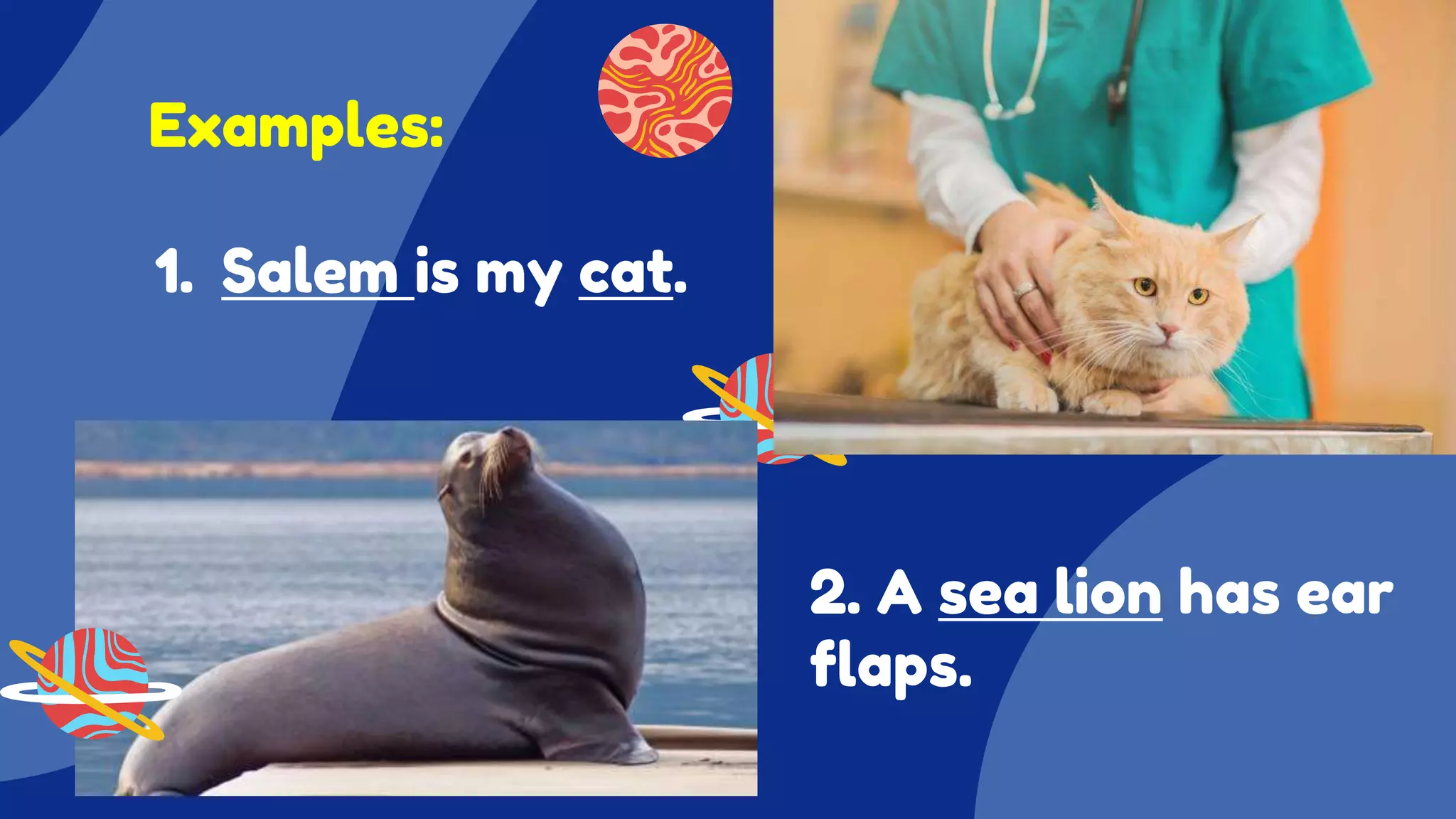 LESSON ON NOUNS FOR GRADE 2 | PPTX