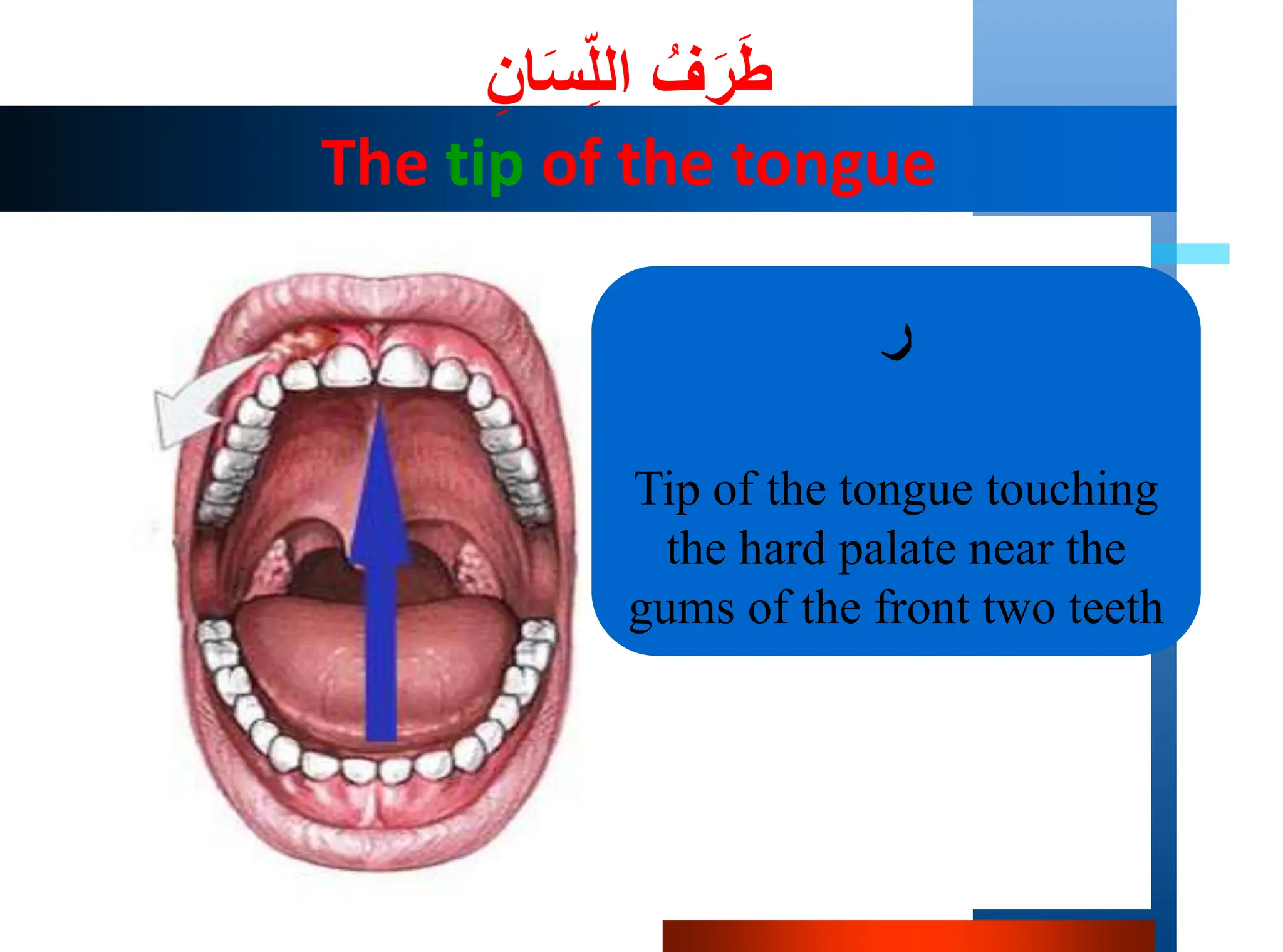 Lesson 1 on Makharij huruf lil mubtadiyeen.pptx