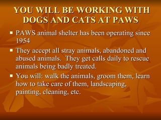 Lesson 1 paws | PPT