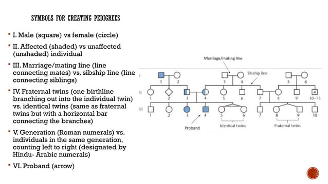 Lesson 1: The Pedigree Analysis in Bio 1.pptx