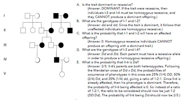 Lesson 1: The Pedigree Analysis in Bio 1.pptx