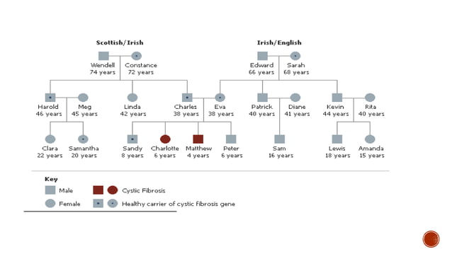 Lesson 1: The Pedigree Analysis in Bio 1.pptx