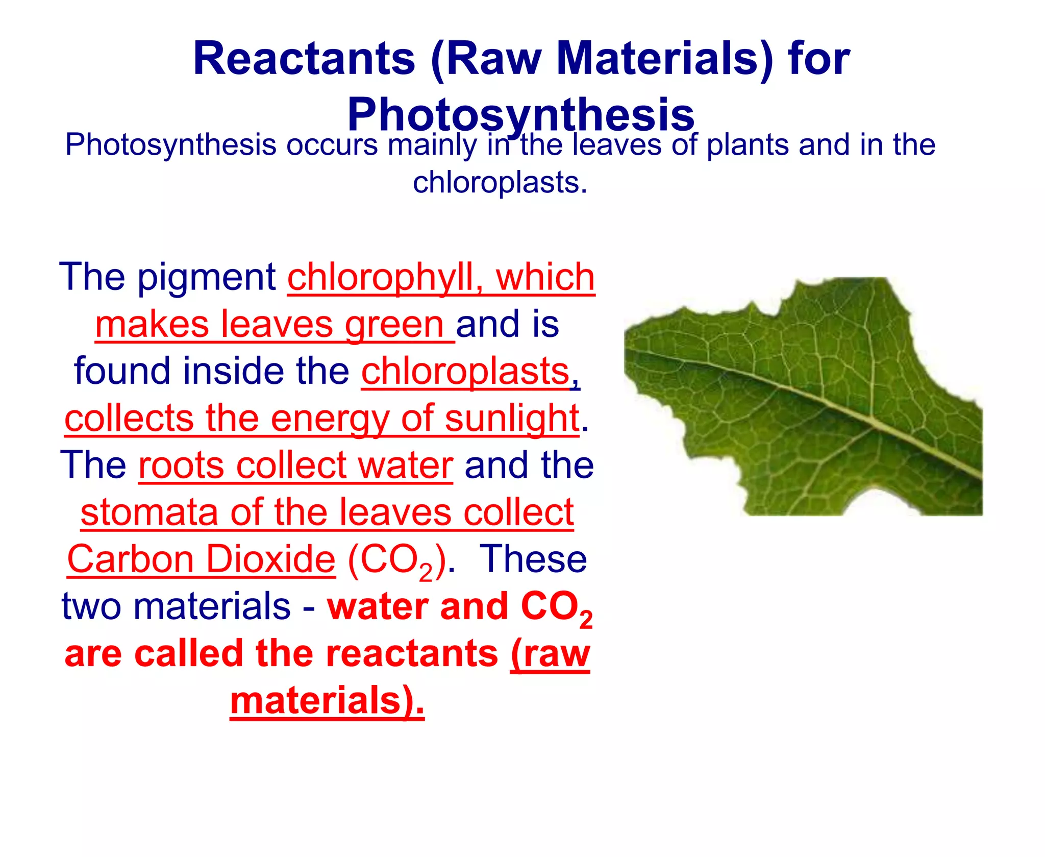 Lesson 1 photosynthesis.pptx