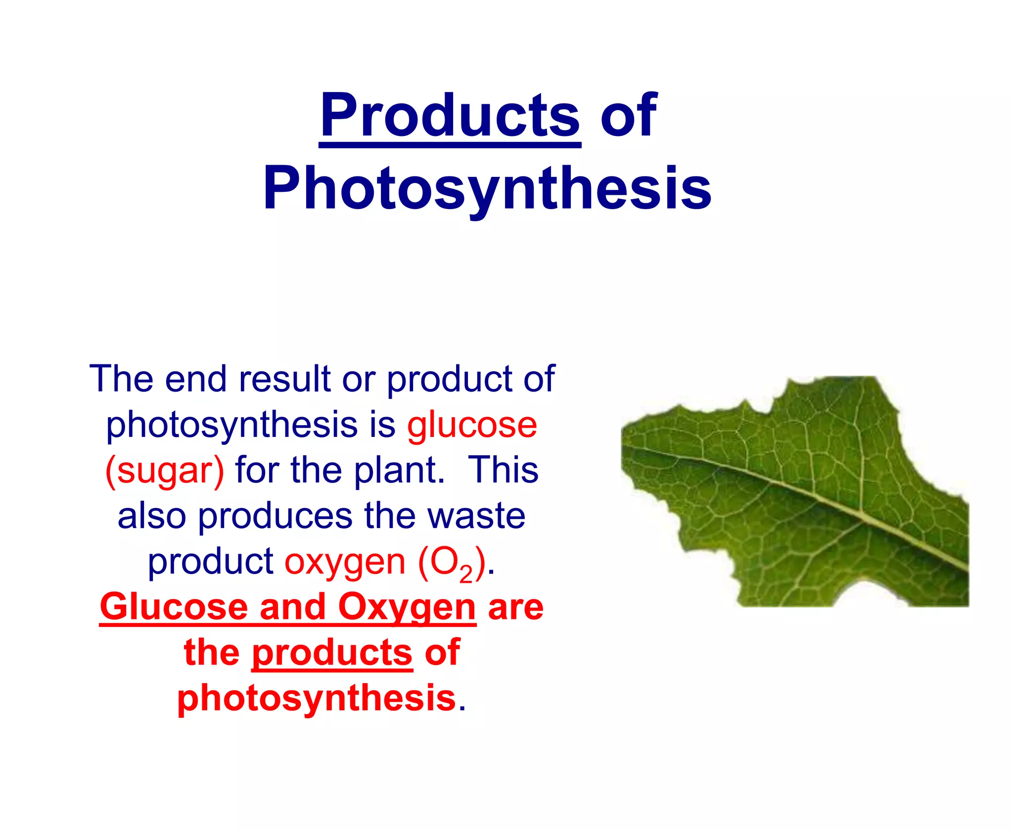 Lesson 1 photosynthesis.pptx