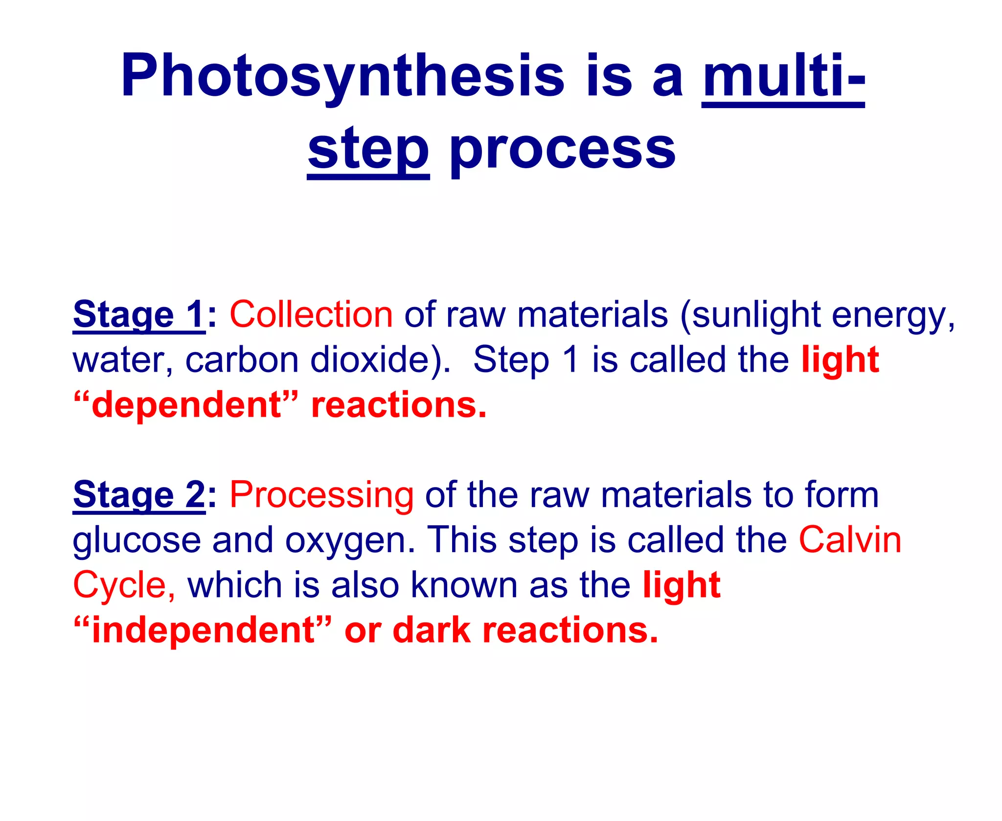 Lesson 1 photosynthesis.pptx