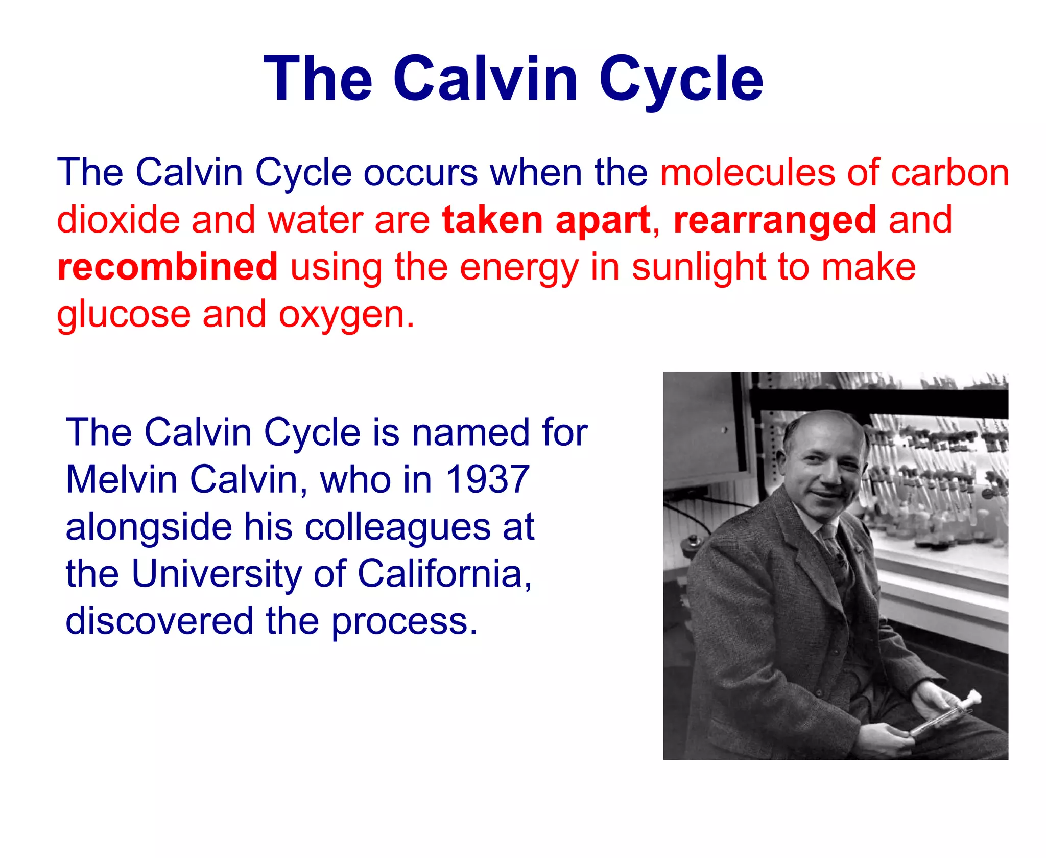 Lesson 1 photosynthesis.pptx