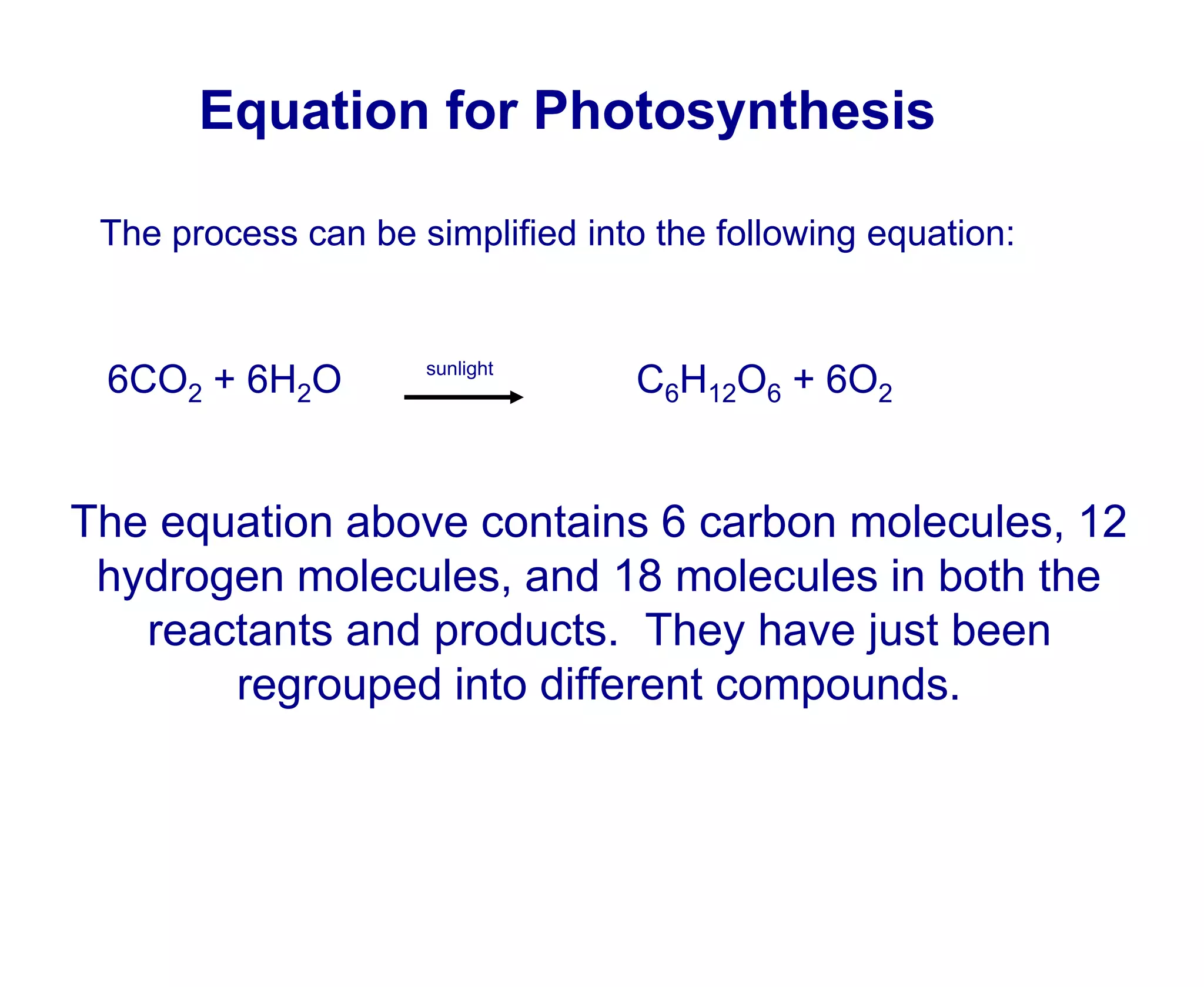 Lesson 1 photosynthesis.pptx