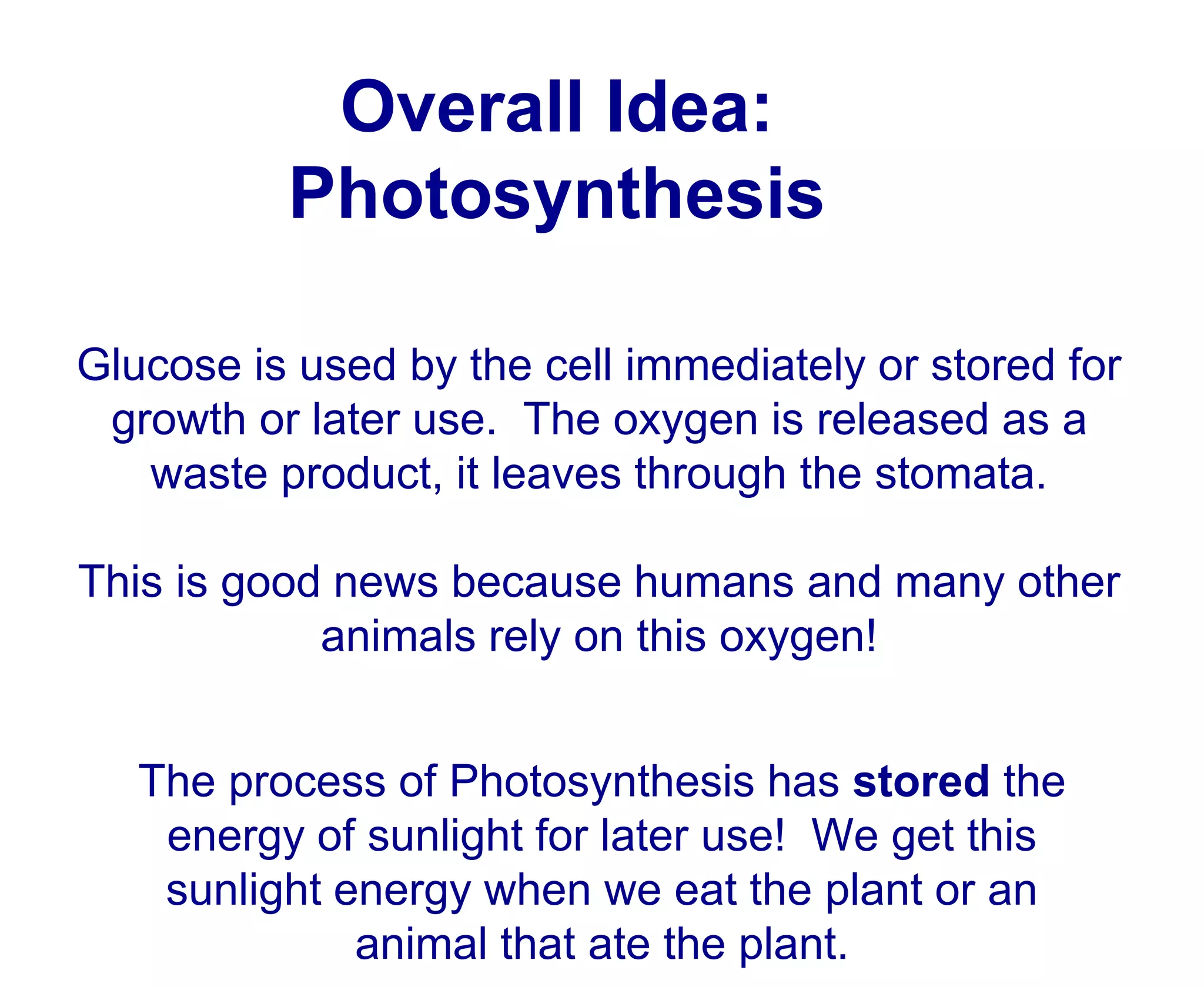 Lesson 1 photosynthesis.pptx