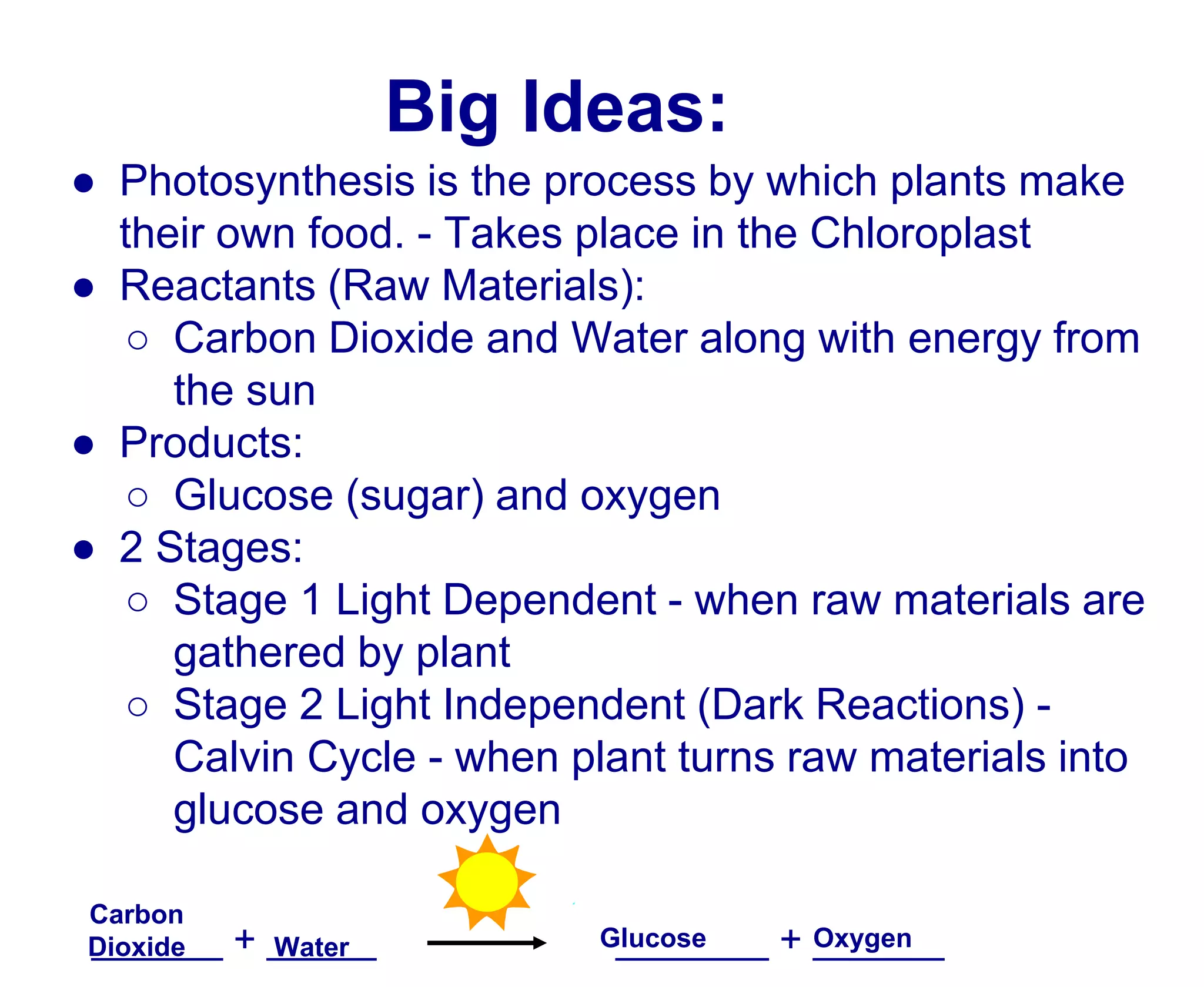 Lesson 1 photosynthesis.pptx