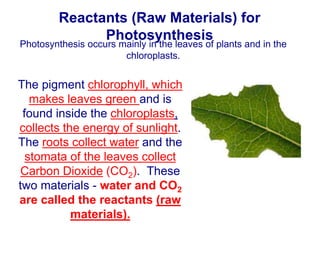 Lesson 1 photosynthesis.pptx