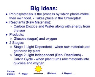 Lesson 1 photosynthesis.pptx