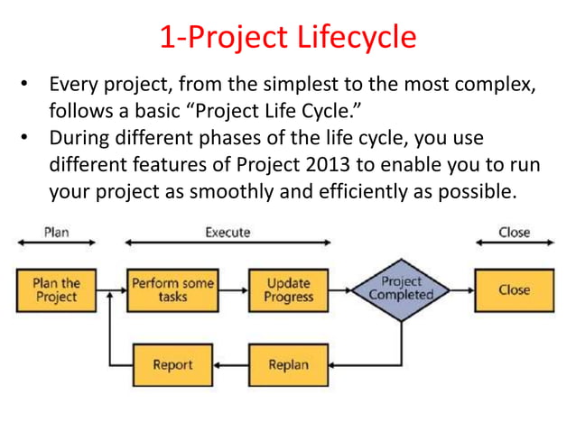 Lesson 1 PMT Project Life Cycle (Microsoft Project Management) | PPT