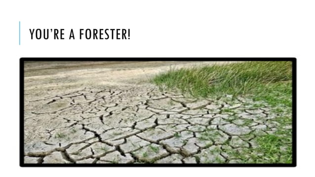 Lesson 1 Problem-Solution Expository Texts.pptx