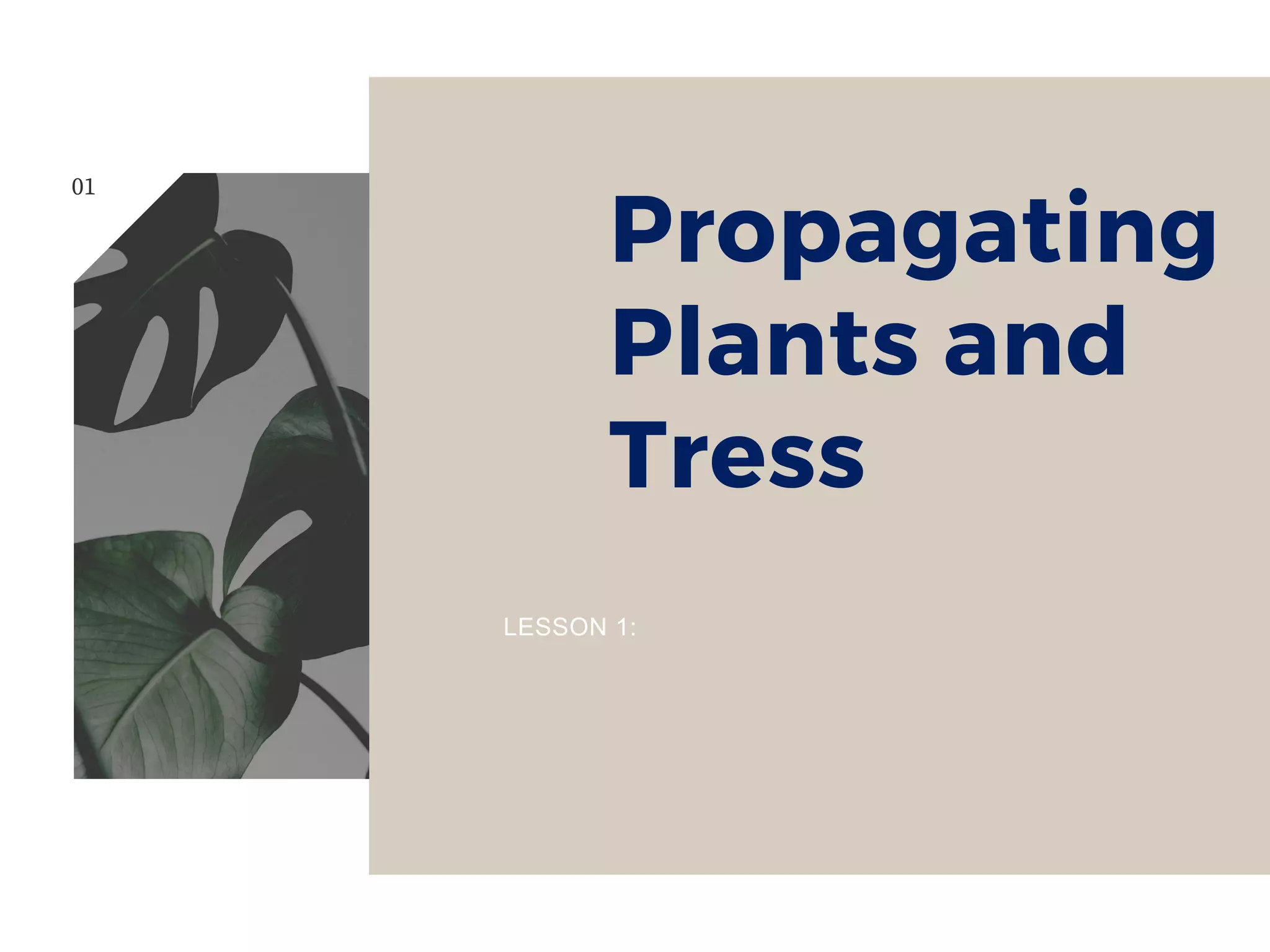 LESSON 1_ PROPAGATING PLANTS AND TREES.pdf
