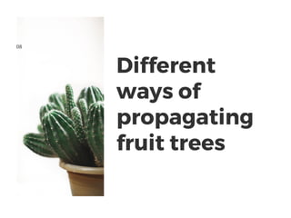 LESSON 1_ PROPAGATING PLANTS AND TREES.pdf