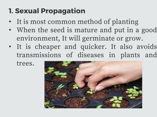 LESSON 1_ PROPAGATING PLANTS AND TREES.pdf