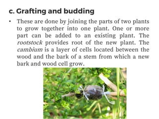 LESSON 1_ PROPAGATING PLANTS AND TREES.pdf