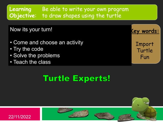 Lesson_1_Python_Turtle.pptx | Reptiles | Pets