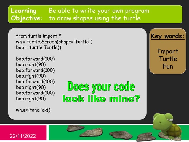 Lesson_1_Python_Turtle.pptx | Reptiles | Pets
