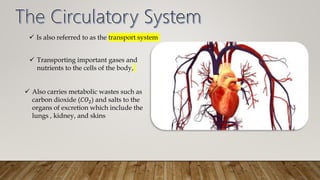 Lesson 1_Science 9-The Circulatory System-Q1-W1.pptx
