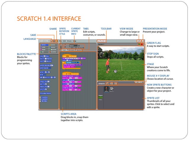 Scratch Lesson 1 – Basics | PPT | Computer Animation | Computer Software and Applications