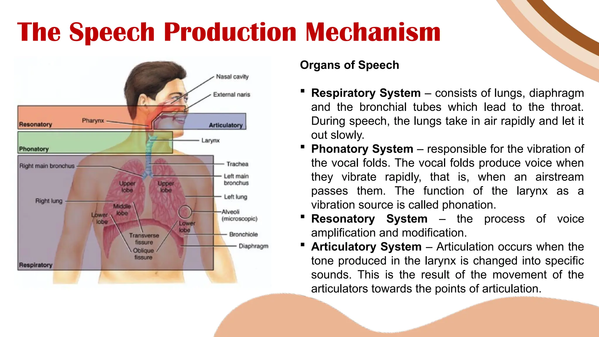 Lesson 1 Speech Arts – An Overview.pptkx | PPTX