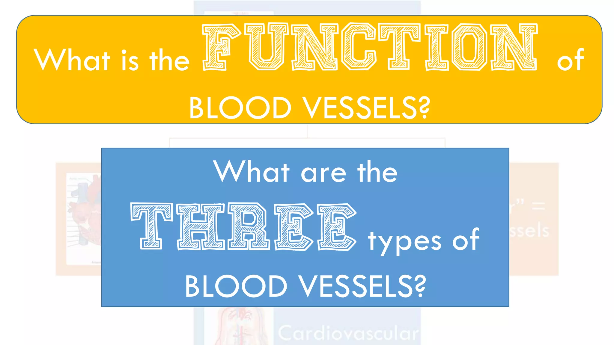 Lesson 1 Circulatory System - Grade 9 | PPTX