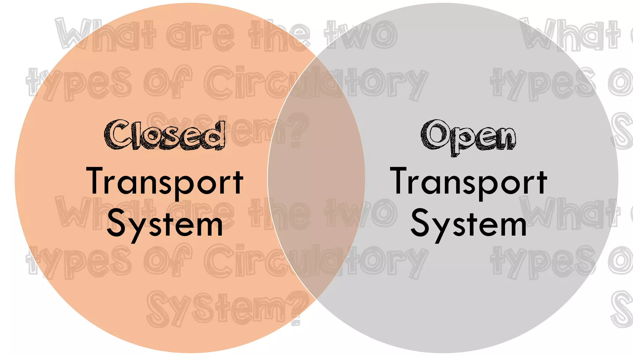 Lesson 1 Circulatory System - Grade 9 | PPTX