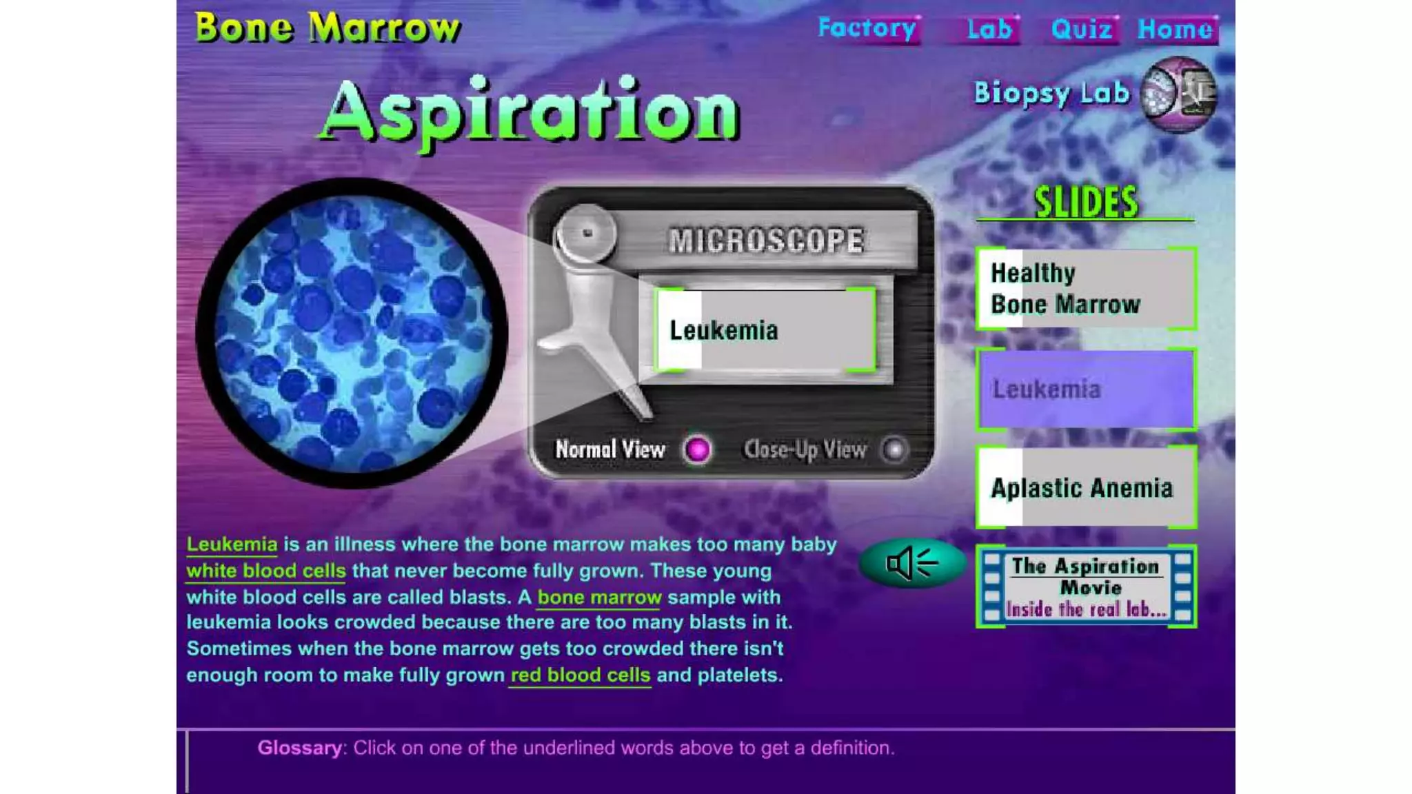 Lesson 1 Circulatory System - Grade 9 | PPTX
