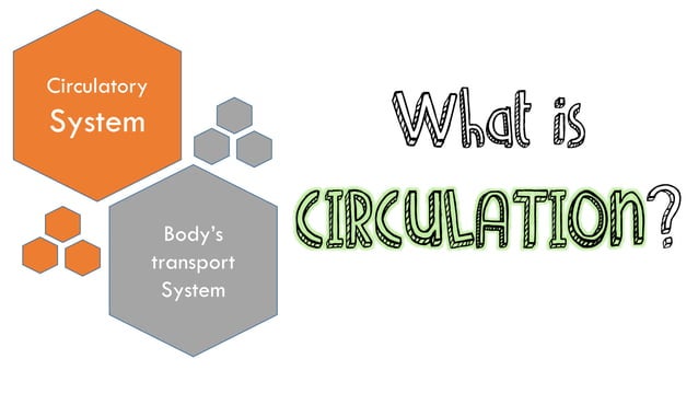 Lesson 1 Circulatory System - Grade 9 | PPTX