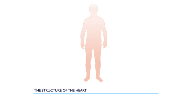 Lesson 1 Circulatory System - Grade 9 | PPTX