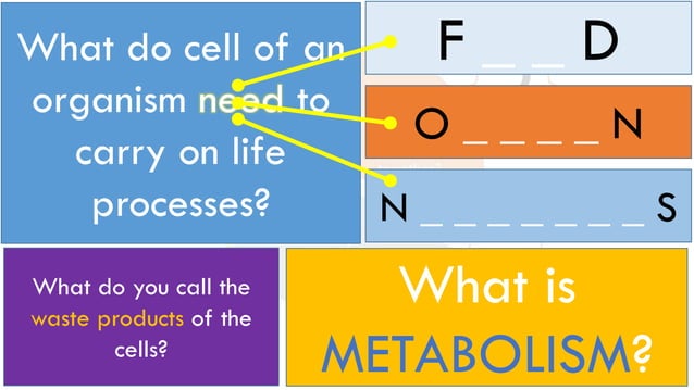 Lesson 1 Circulatory System - Grade 9 | PPTX