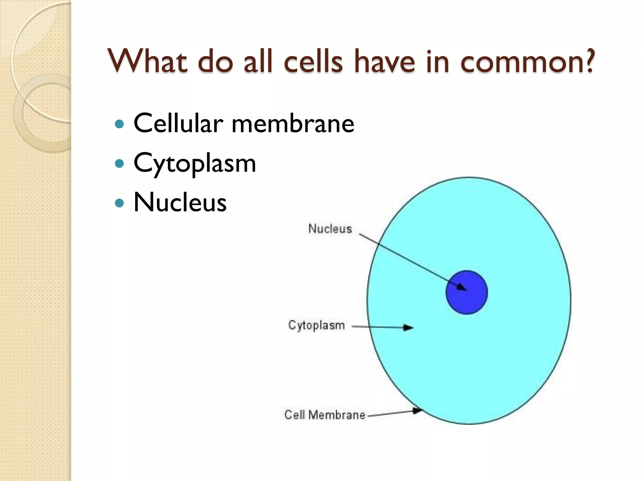 Lesson 1 the cell | PDF