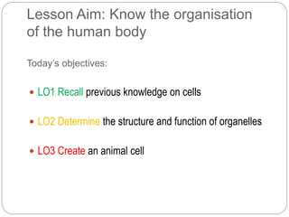 Lesson 1 the cell | PPT