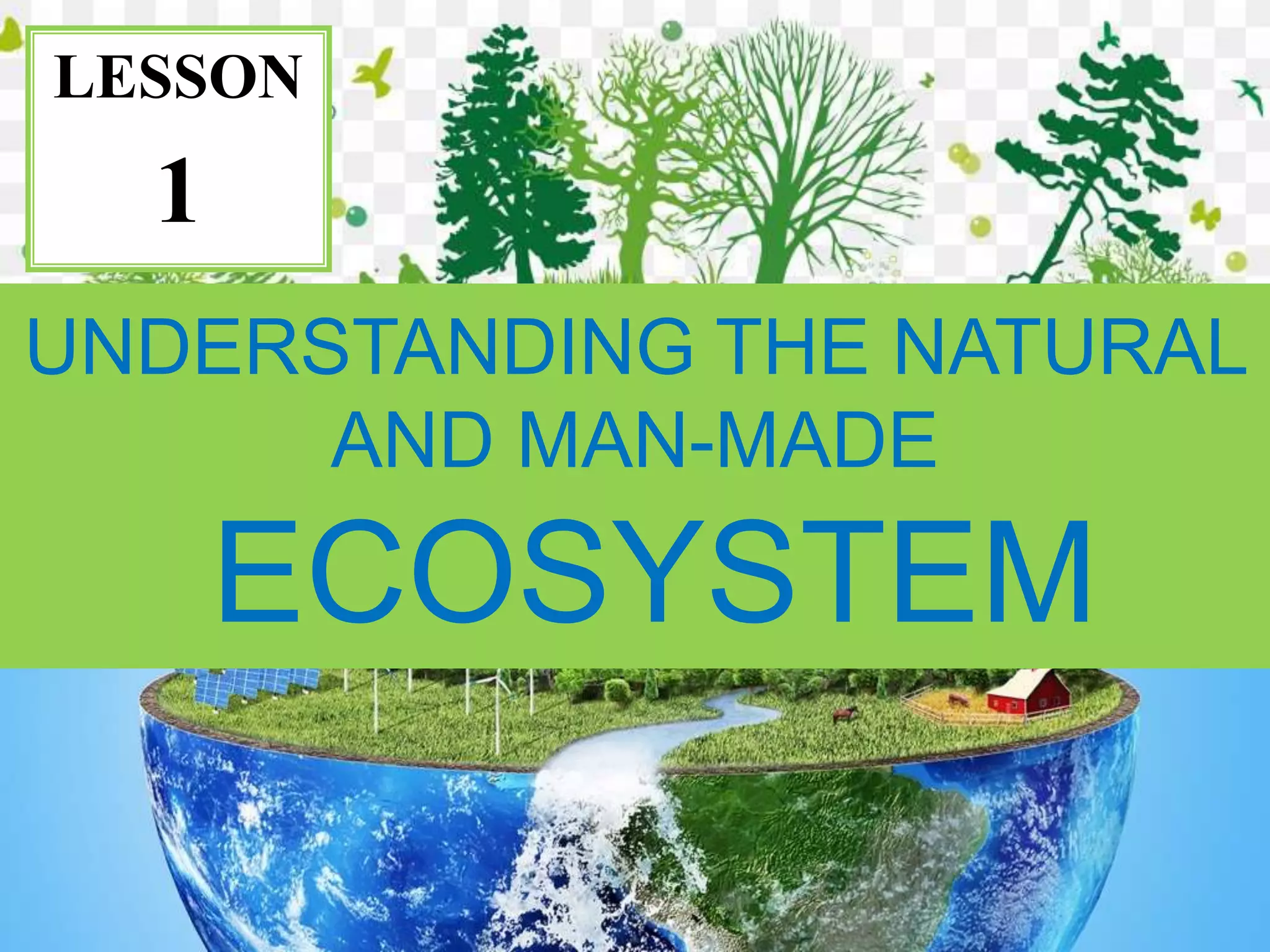 Lesson 1 The Ecosystem.pptx