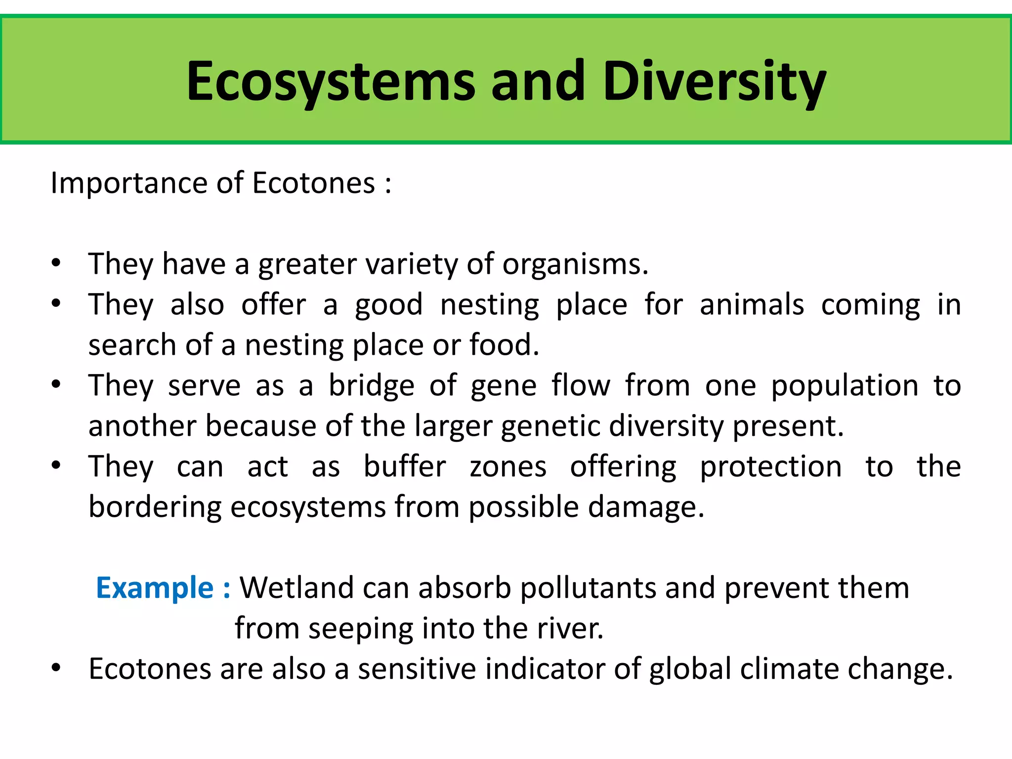 Lesson 1 The Ecosystem.pptx