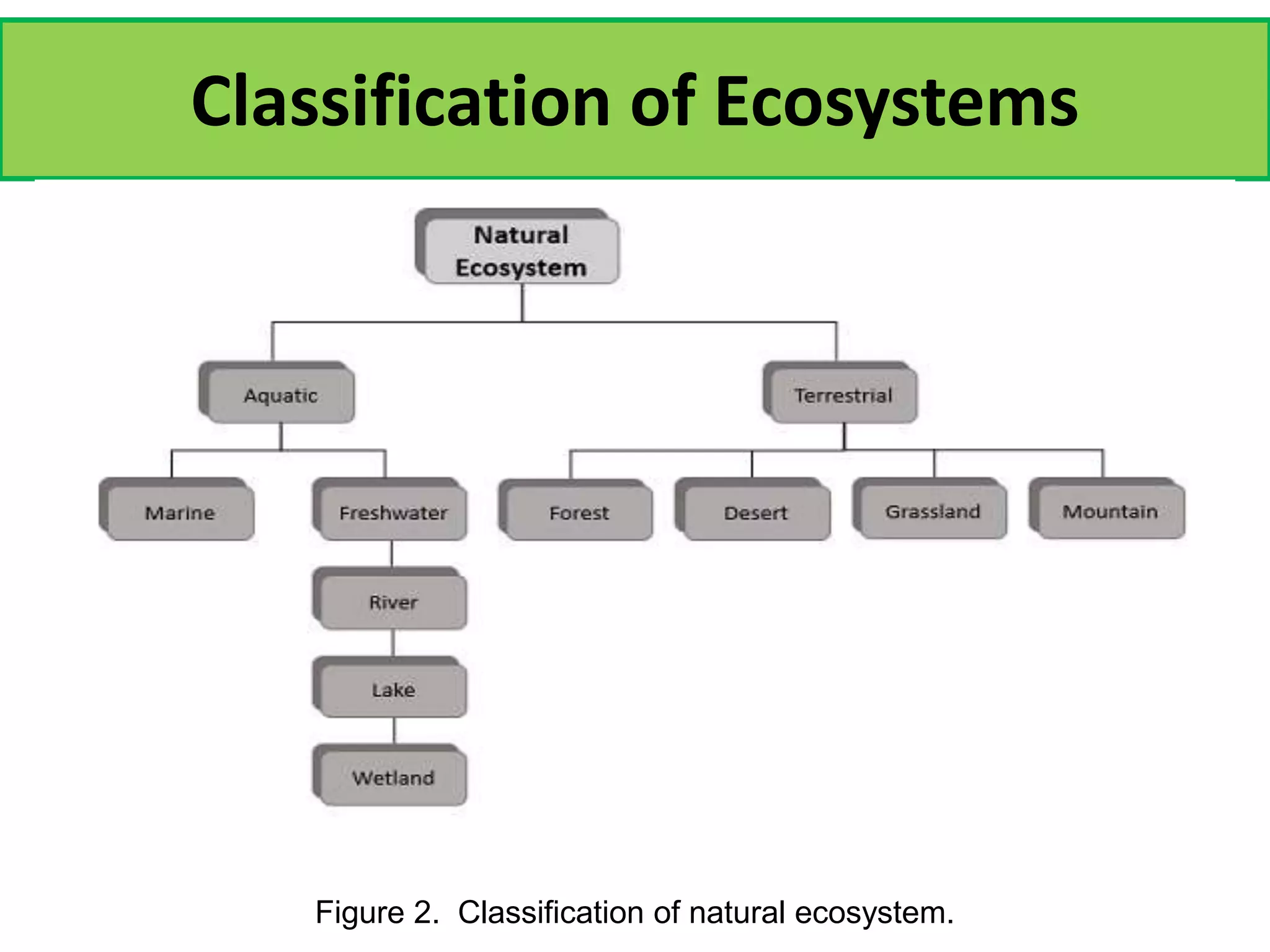 Lesson 1 The Ecosystem.pptx