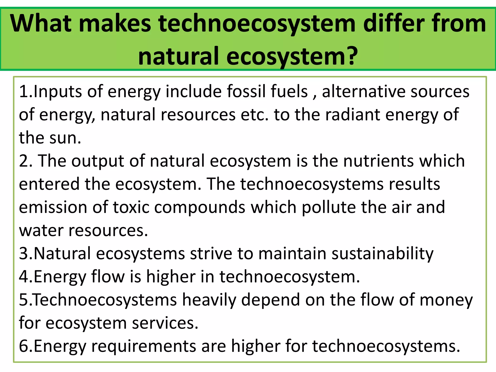Lesson 1 The Ecosystem.pptx