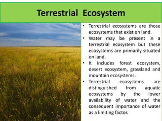 Terrestrial Ecosystems Examples