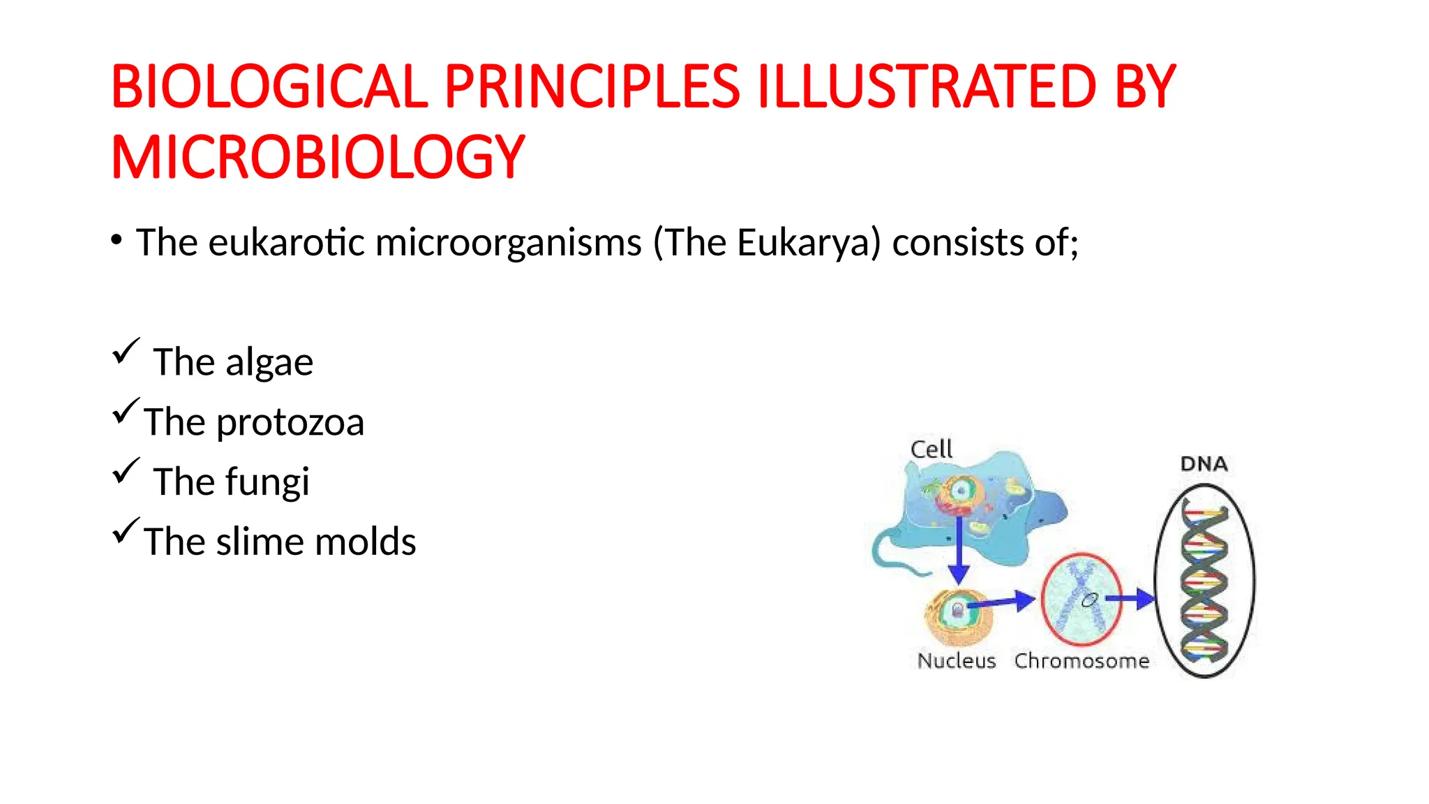 LESSON 1 THE SCIENCE OF MICROBIOLOGY.pptx