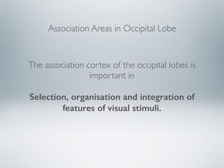 Lesson 1 the structure and function of the brain 2015 | PPT