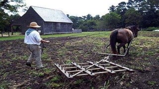 Agri-Crop Production - Lesson 1 use farm tools and equipment | PDF