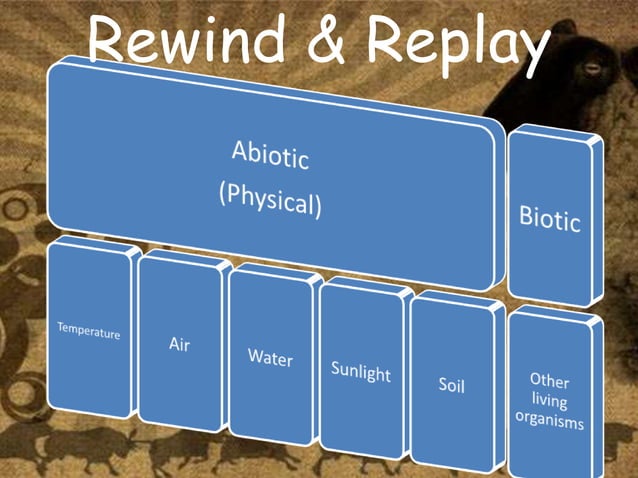 The Environment - Lesson 2 - Unfavourable and Favourable Conditions in ...