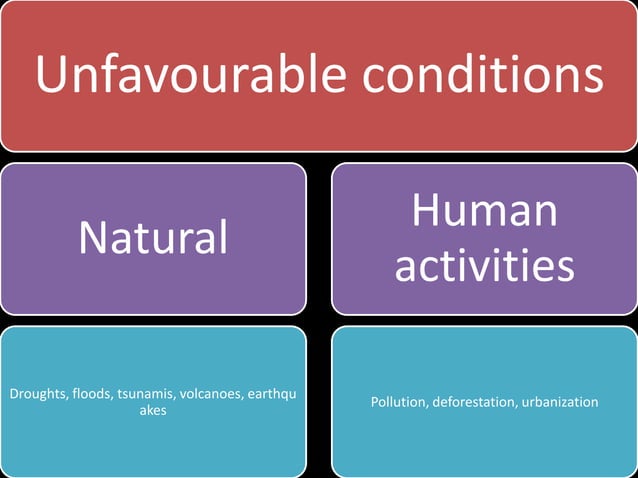 The Environment - Lesson 2 - Unfavourable and Favourable Conditions in ...